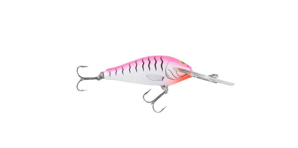 Tilsan Bass 55 Lures
