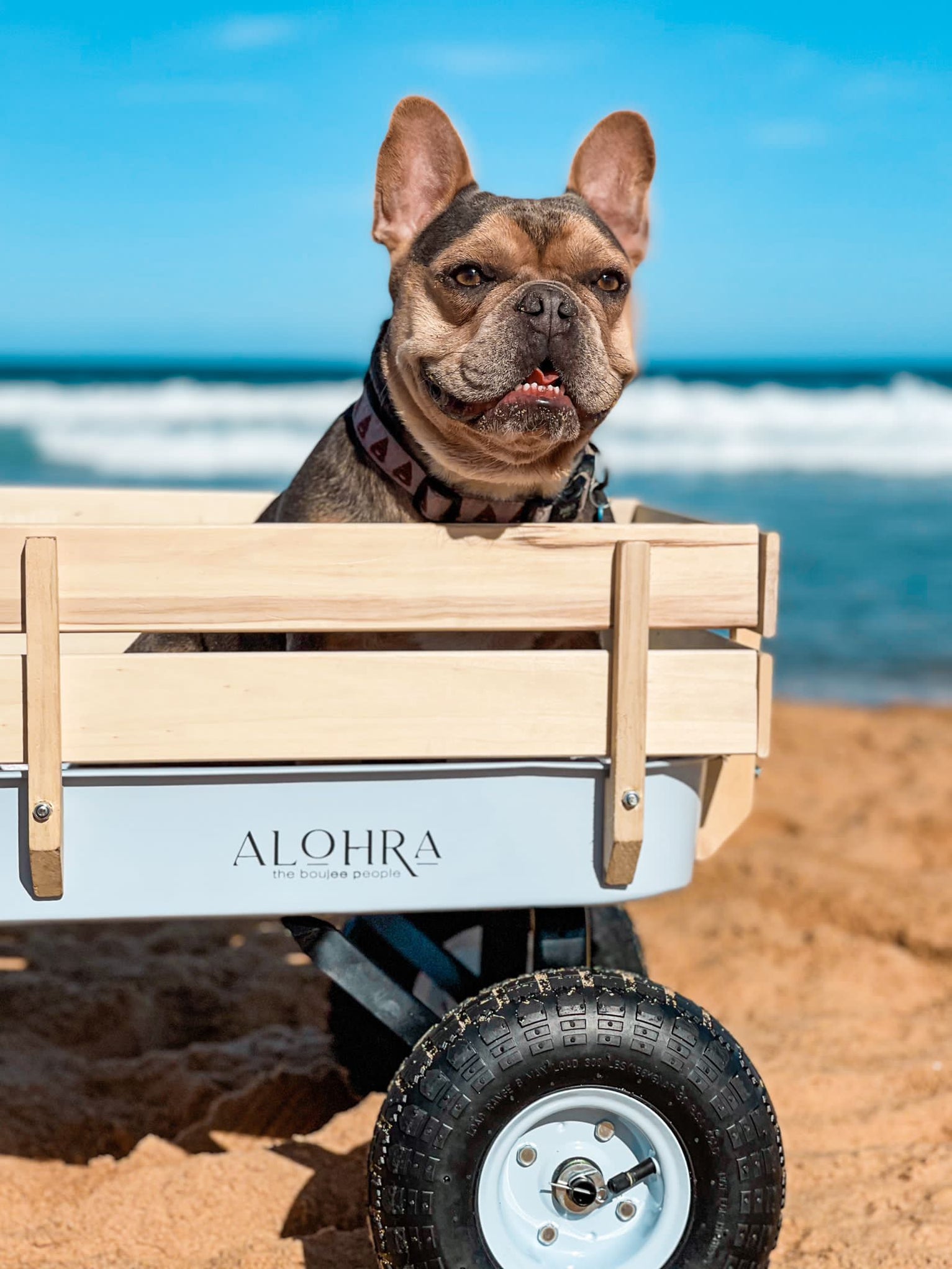 Alohra Timber Beach Carts